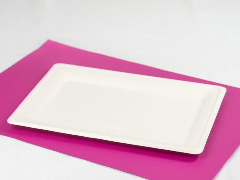 Assiettes plat jetables - 10 pièces - GOOD DELICES